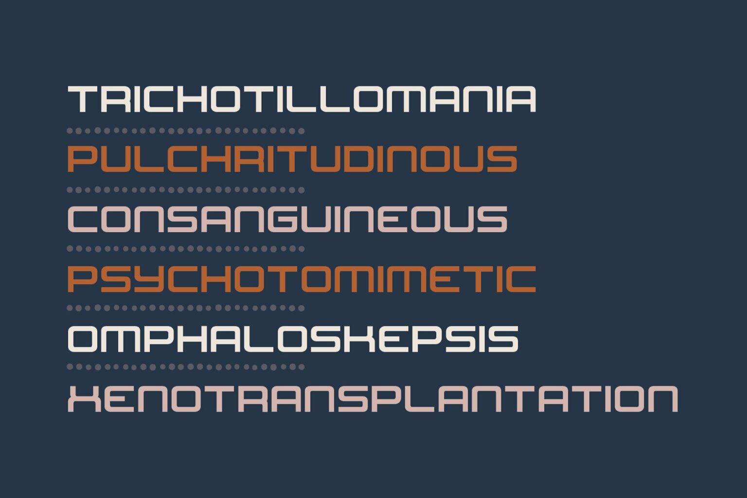 Skylar Multilingual Font – MasterBundles