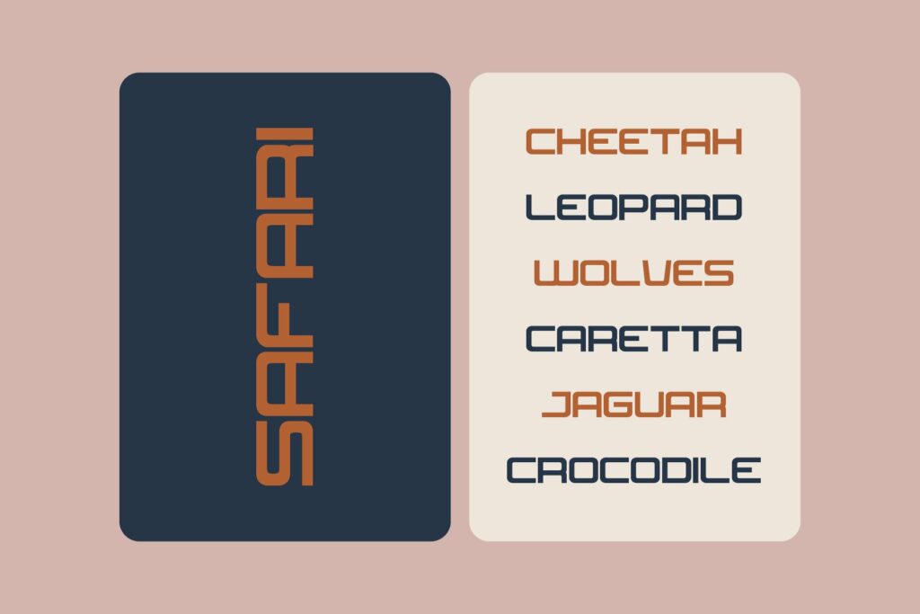 Skylar Multilingual Font – MasterBundles