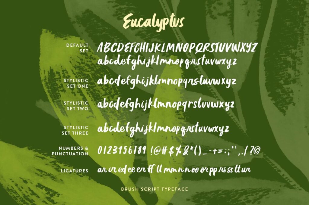 Eucalyptus Brush Script – MasterBundles