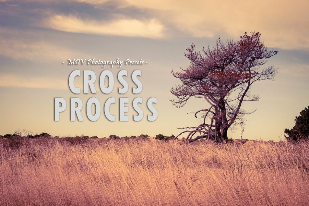 Cross Process - Lightroom presets – MasterBundles