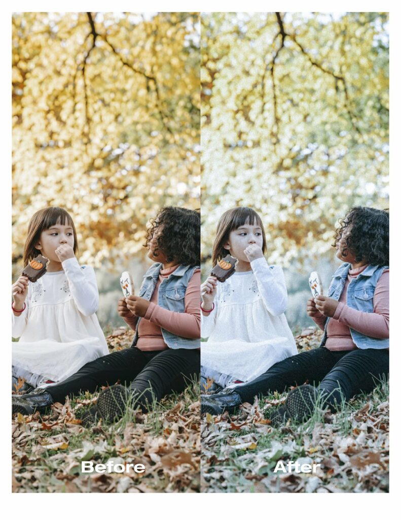 Daily Film Simulation LR Presets – MasterBundles