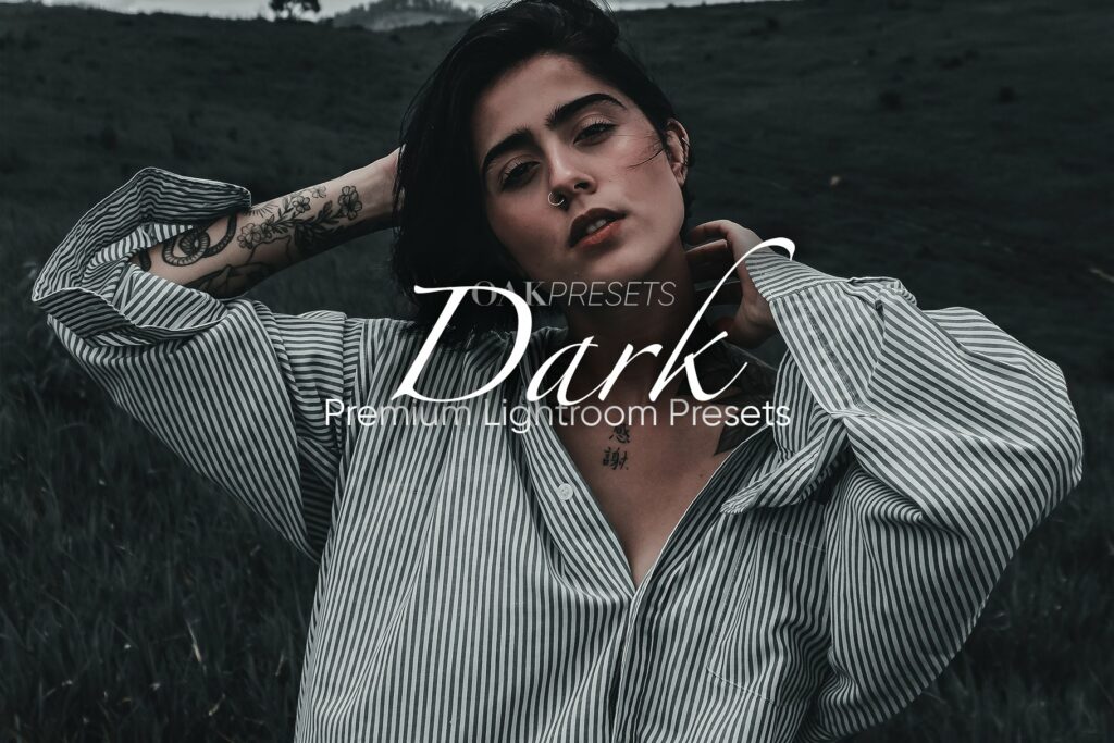 20 Dark Presets – MasterBundles