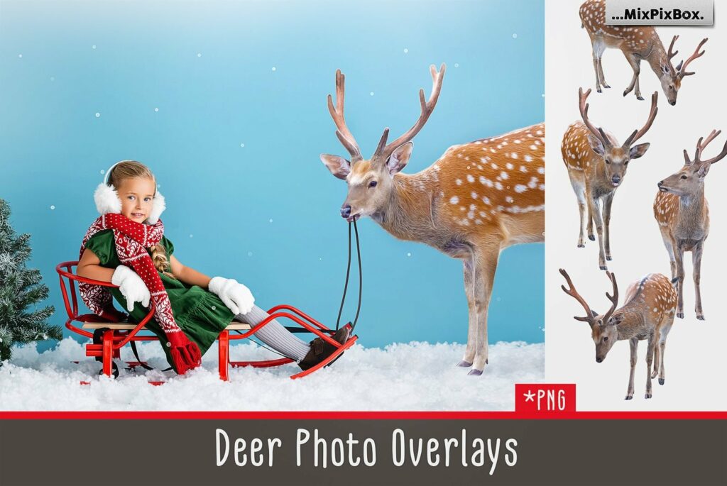 Deer Photo Overlays – MasterBundles