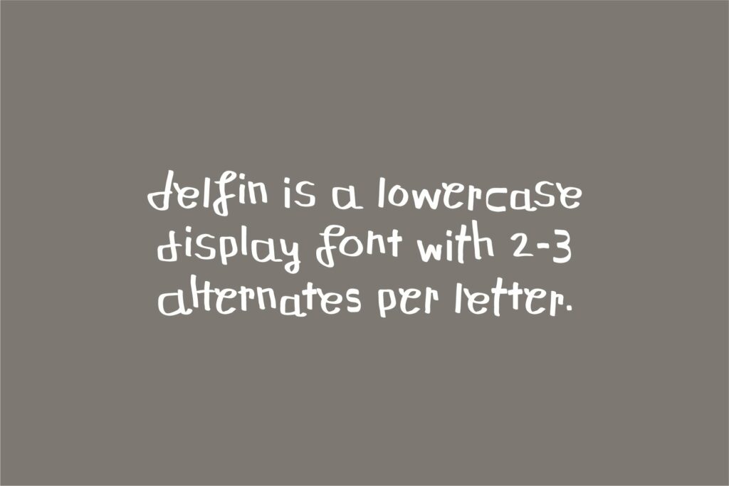 Delfin Handwritten Display Font – MasterBundles