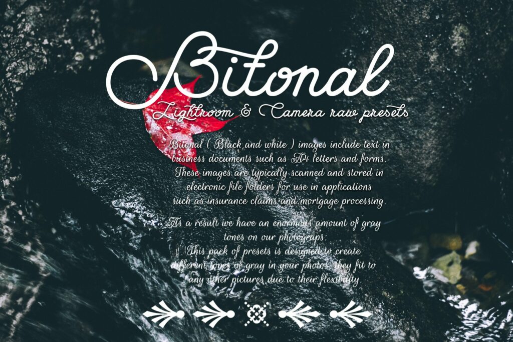 Bitonal Lr and ACR Presets – MasterBundles