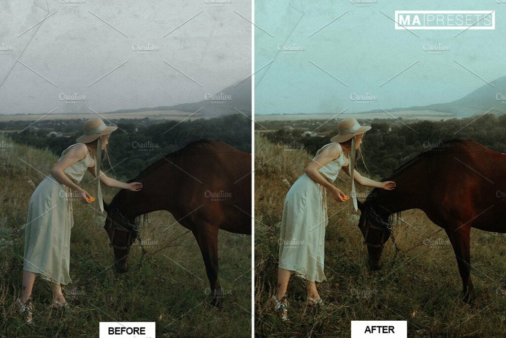 170 Film Collection Lightroom Preset – MasterBundles