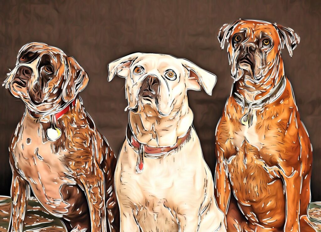 Digital Art & Out Line Art – MasterBundles