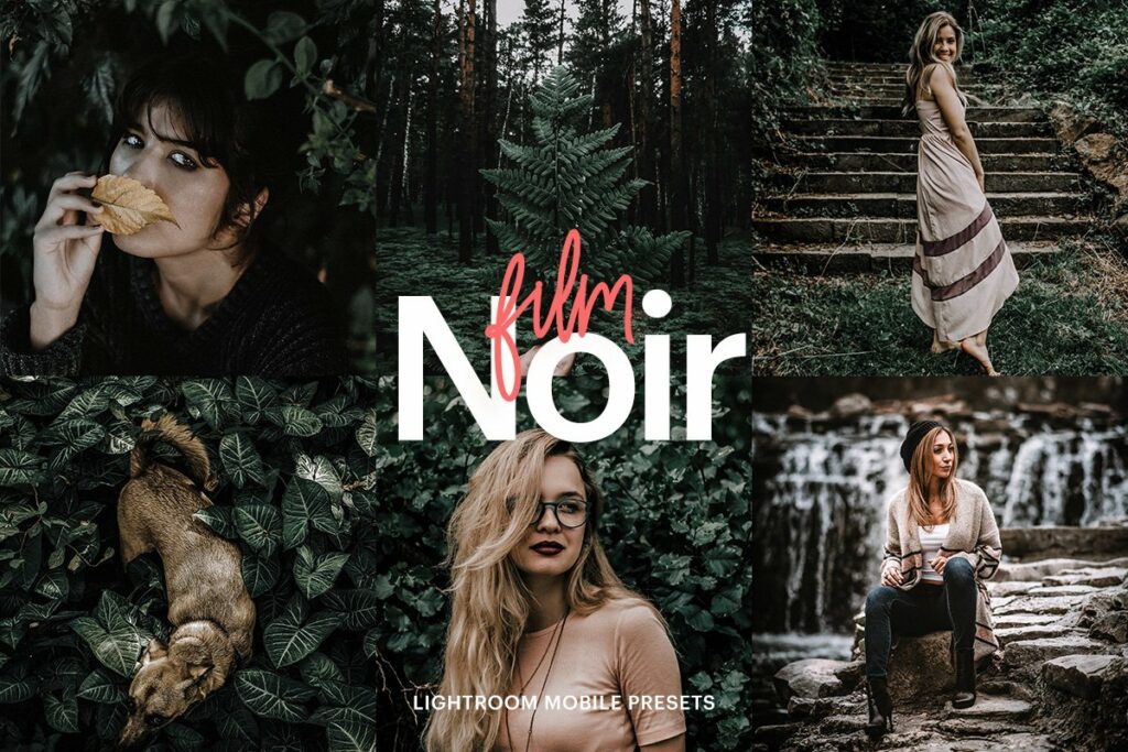 Lightroom Preset-Film Noir Theme – MasterBundles