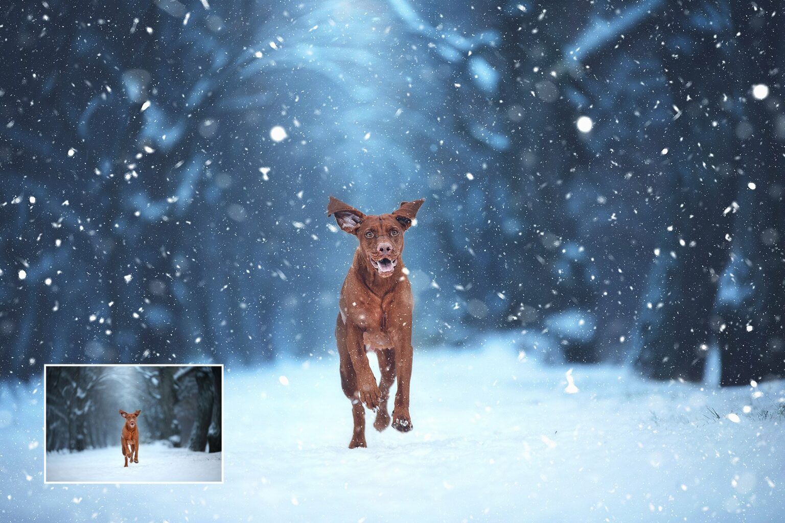 Let It Snow! Photoshop Action – MasterBundles