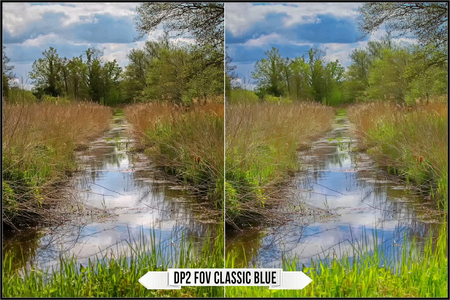 Sigma Color Modes profiles – MasterBundles