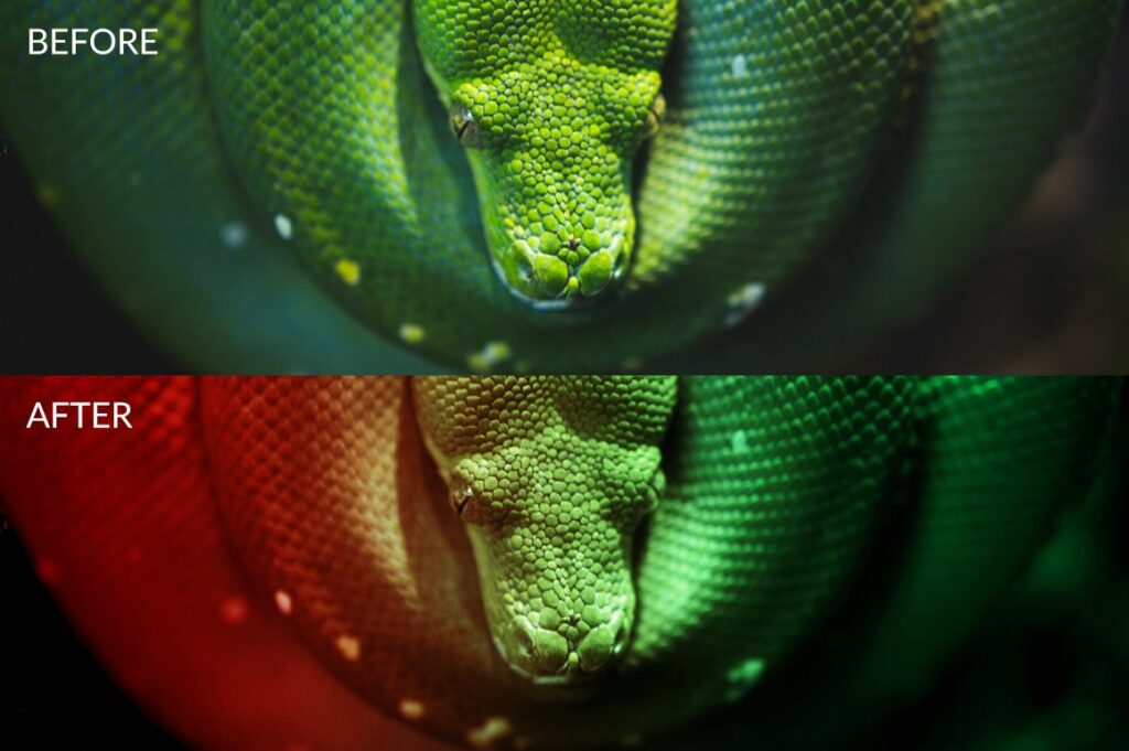 15 Duo Color Photoshop Actions – MasterBundles