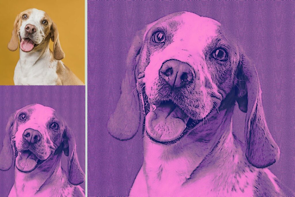Duotone Engraved Money Effect – MasterBundles
