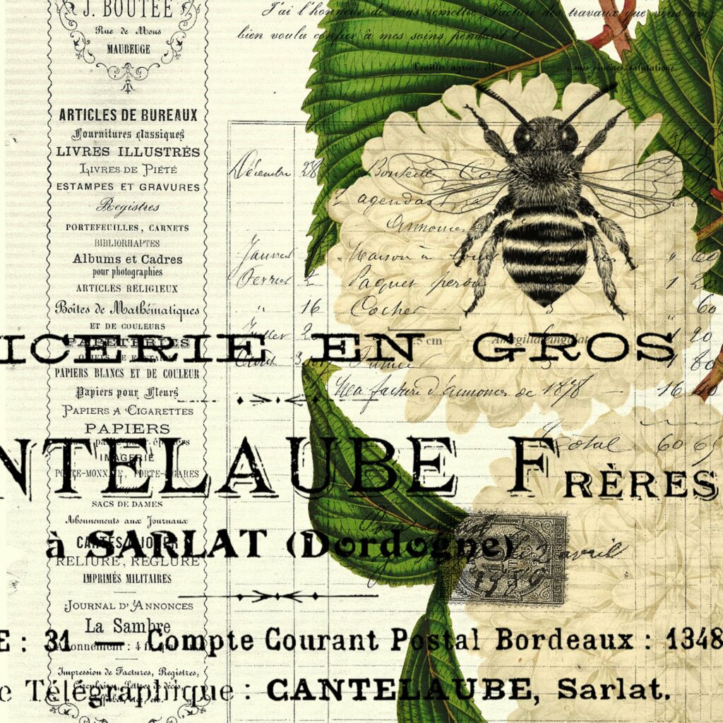 French Ephemera Brushes & Stamps 1 – MasterBundles