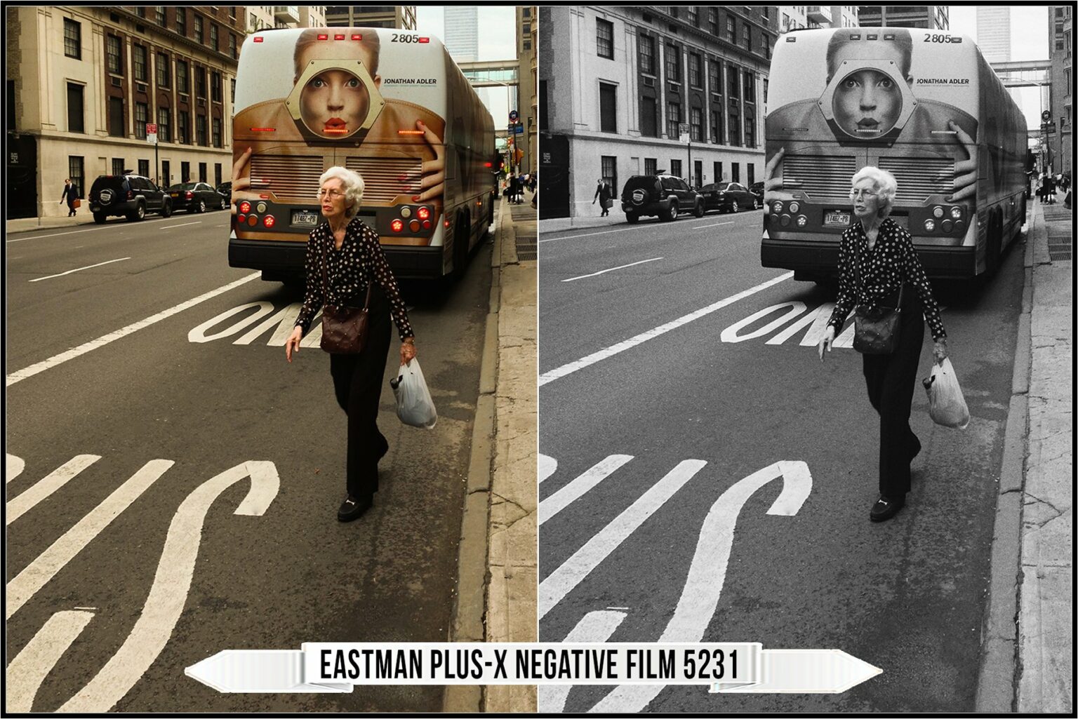 Eastman Kodak Black and White Films – MasterBundles