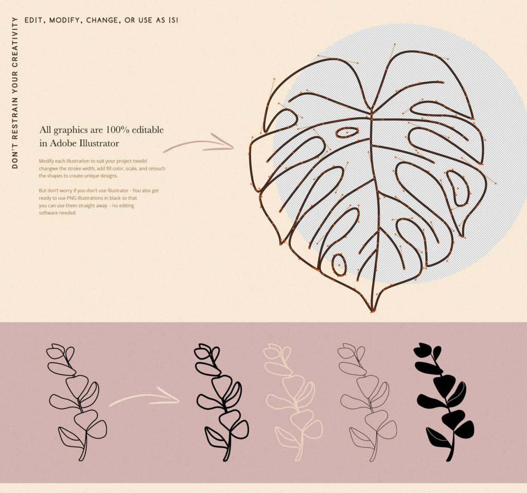 Botanical Elements for Logo Design – MasterBundles