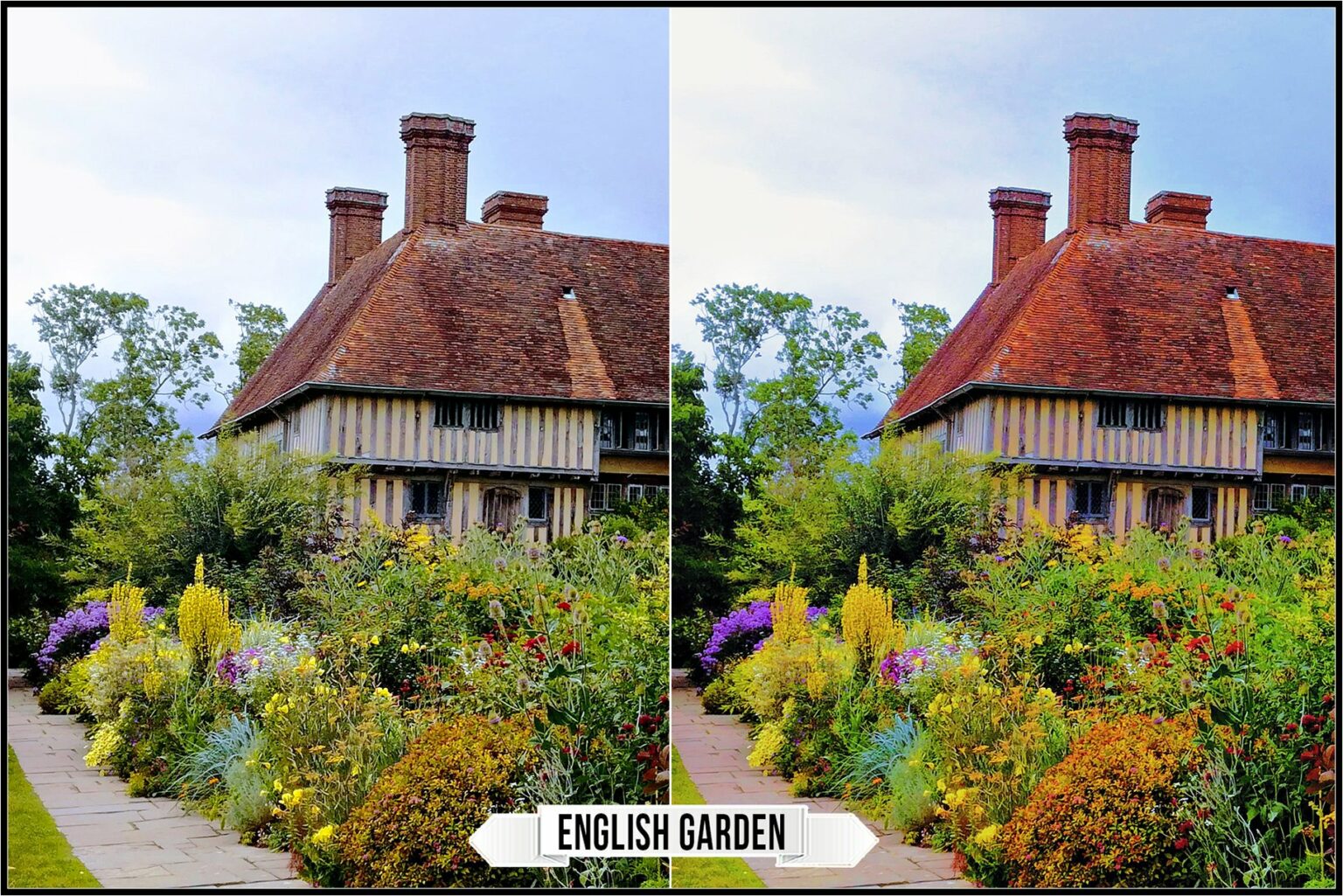 Incredible Flowers Profiles – MasterBundles