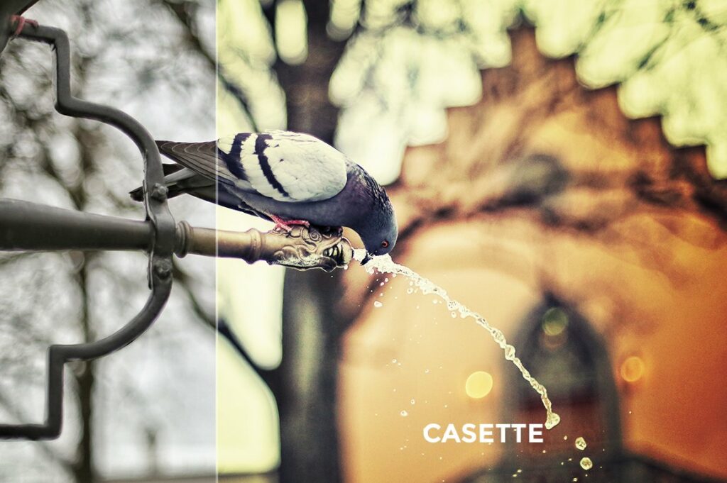 XPro - 20 Cross Processing Actions – MasterBundles