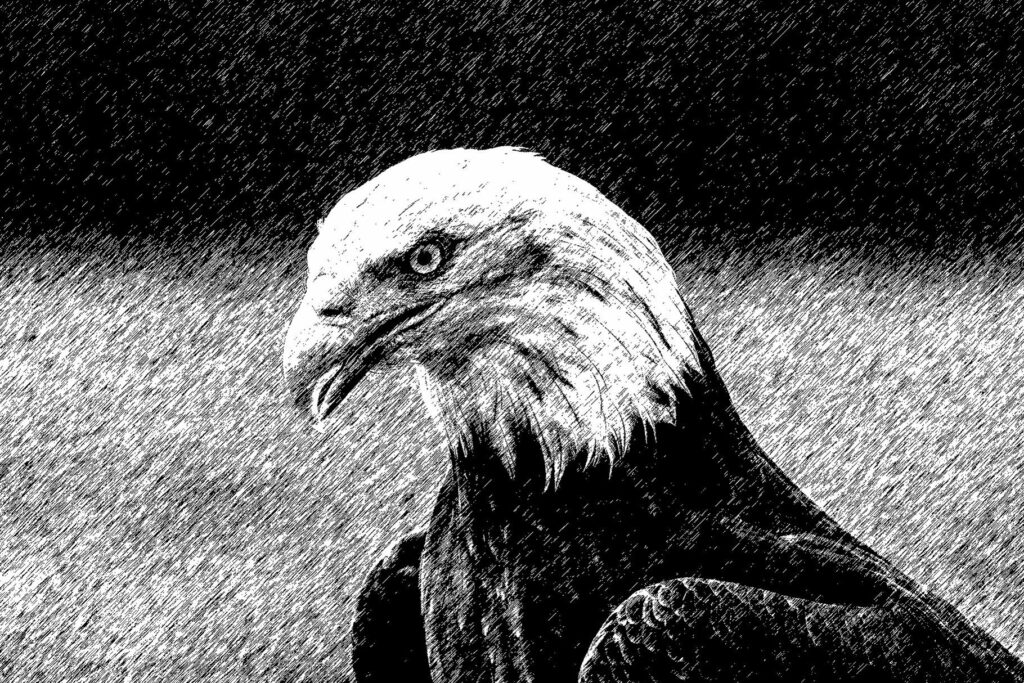 Ink Pen Photoshop Action – MasterBundles