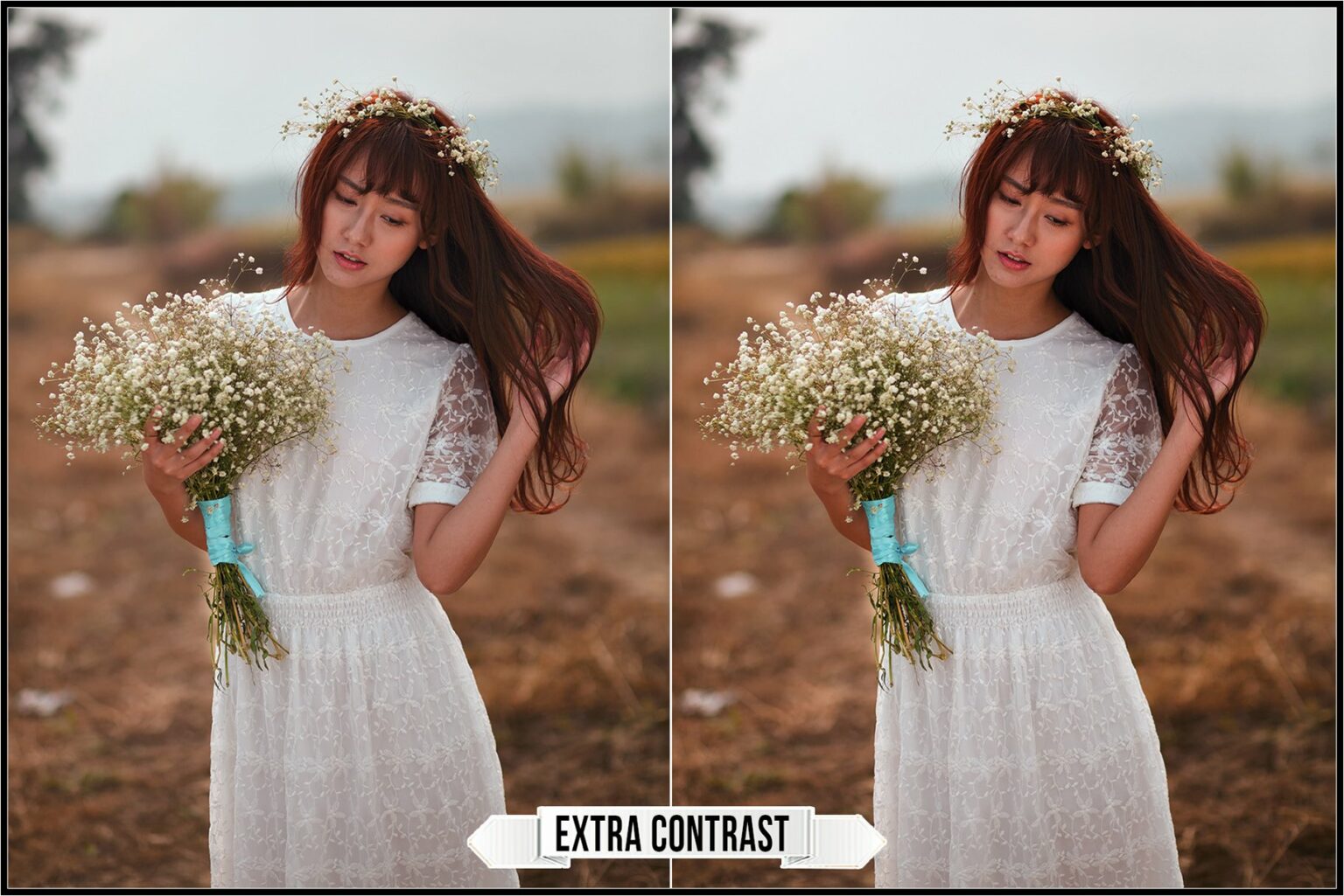 Hasselblad Adjustments Profiles – MasterBundles