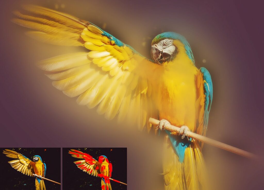 Face Focus Photoshop Action – MasterBundles