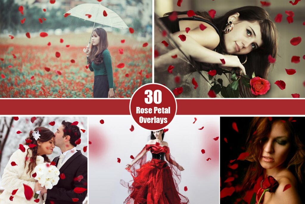 30 Falling Rose Petals Photo Overlay – MasterBundles