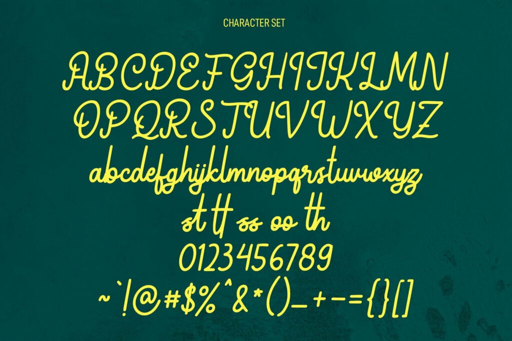 Ferageto Monoline Script Font – MasterBundles