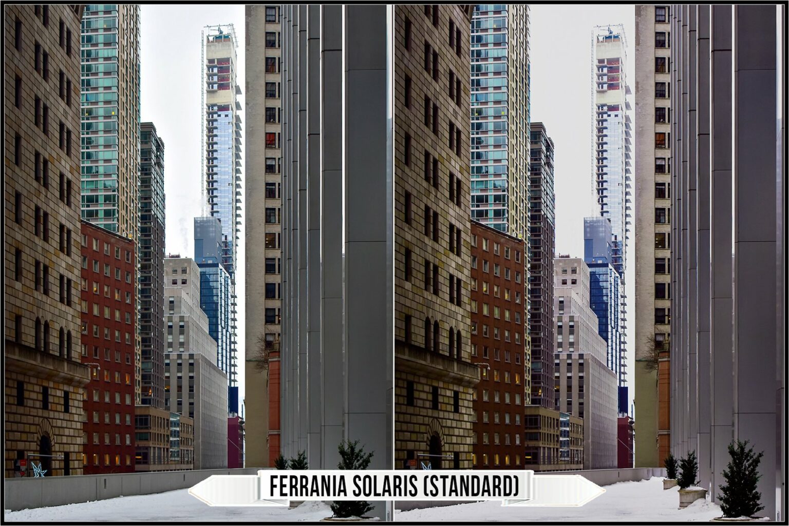 Nikon Custom Picture Controls – MasterBundles