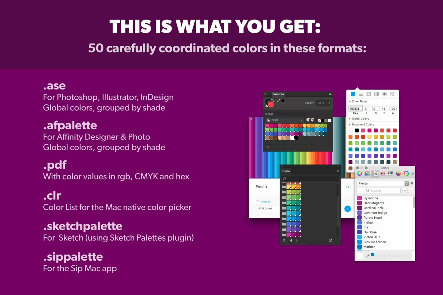 Fiesta Color Palette – MasterBundles