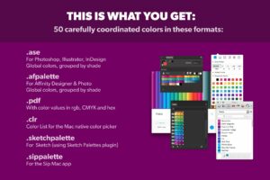 Fiesta Color Palette – MasterBundles