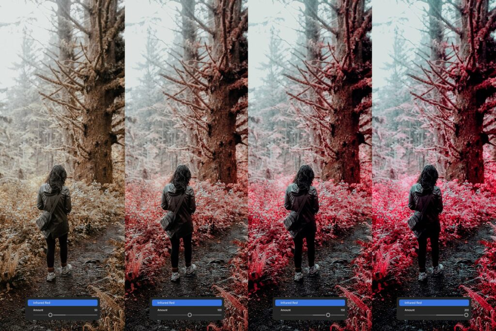 Infrared Red — Lightroom – MasterBundles