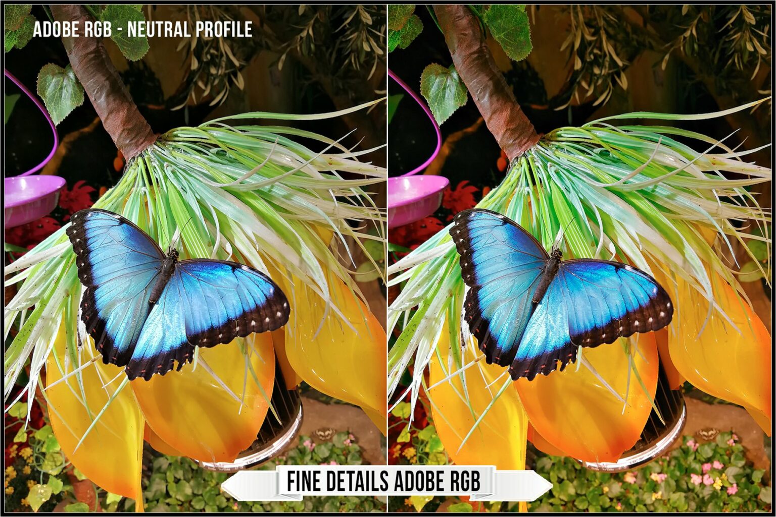 Canon Picture Styles Profiles – MasterBundles