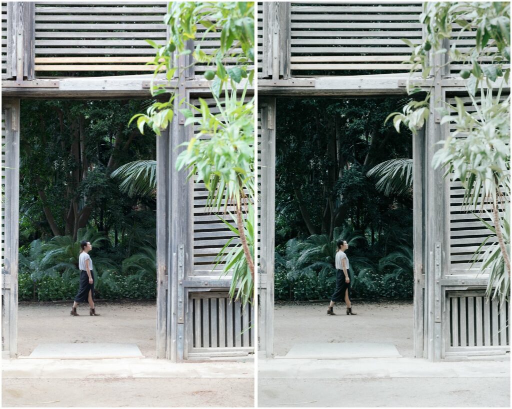 Film Luxe Lightroom and ACR Preset – MasterBundles