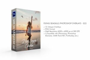 Flying Seagulls Photoshop Overlays – MasterBundles
