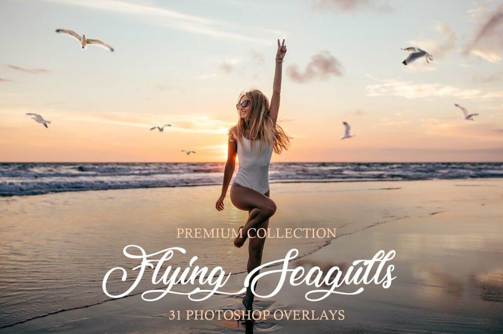 Flying Seagulls Photoshop Overlays – MasterBundles