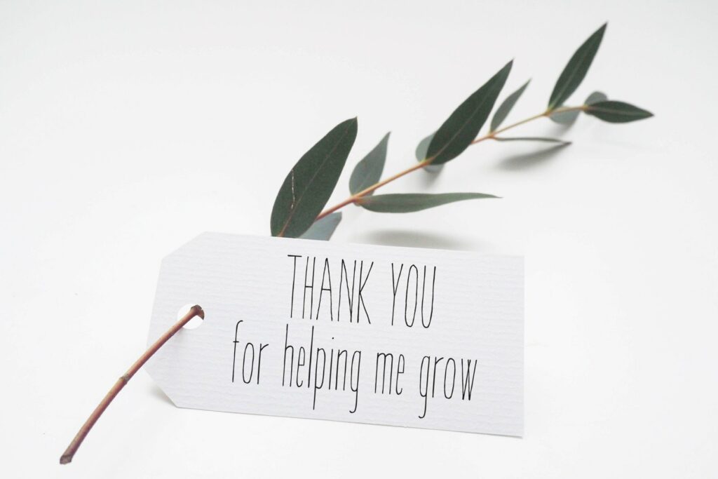 Pinocchio Font – MasterBundles