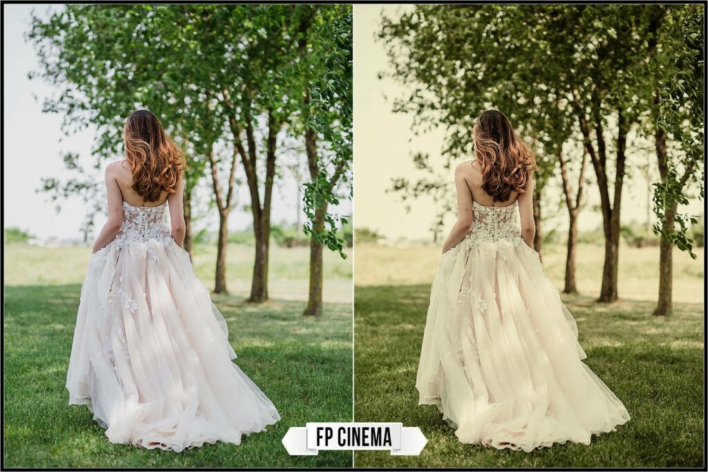 Sigma Color Modes profiles – MasterBundles