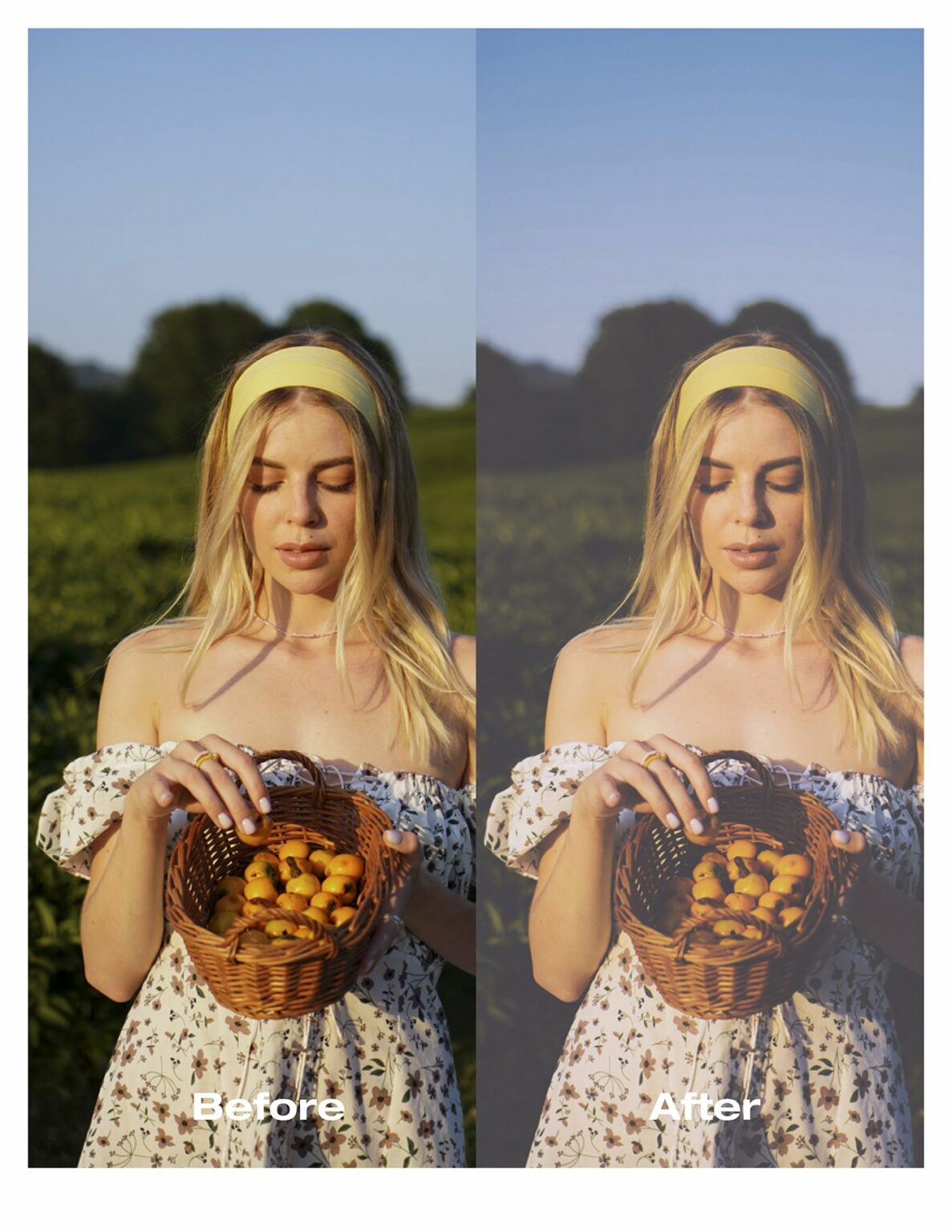 Fuji FP-100C Film Lightroom Presets – MasterBundles