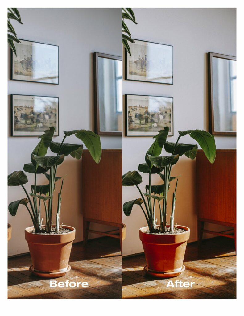 Fujifilm Pro 160C Lightroom Presets – MasterBundles