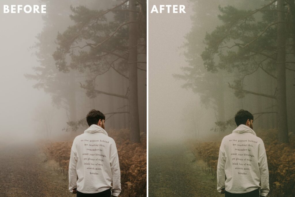 Fujifilm 800 Lightroom Film Presets – MasterBundles