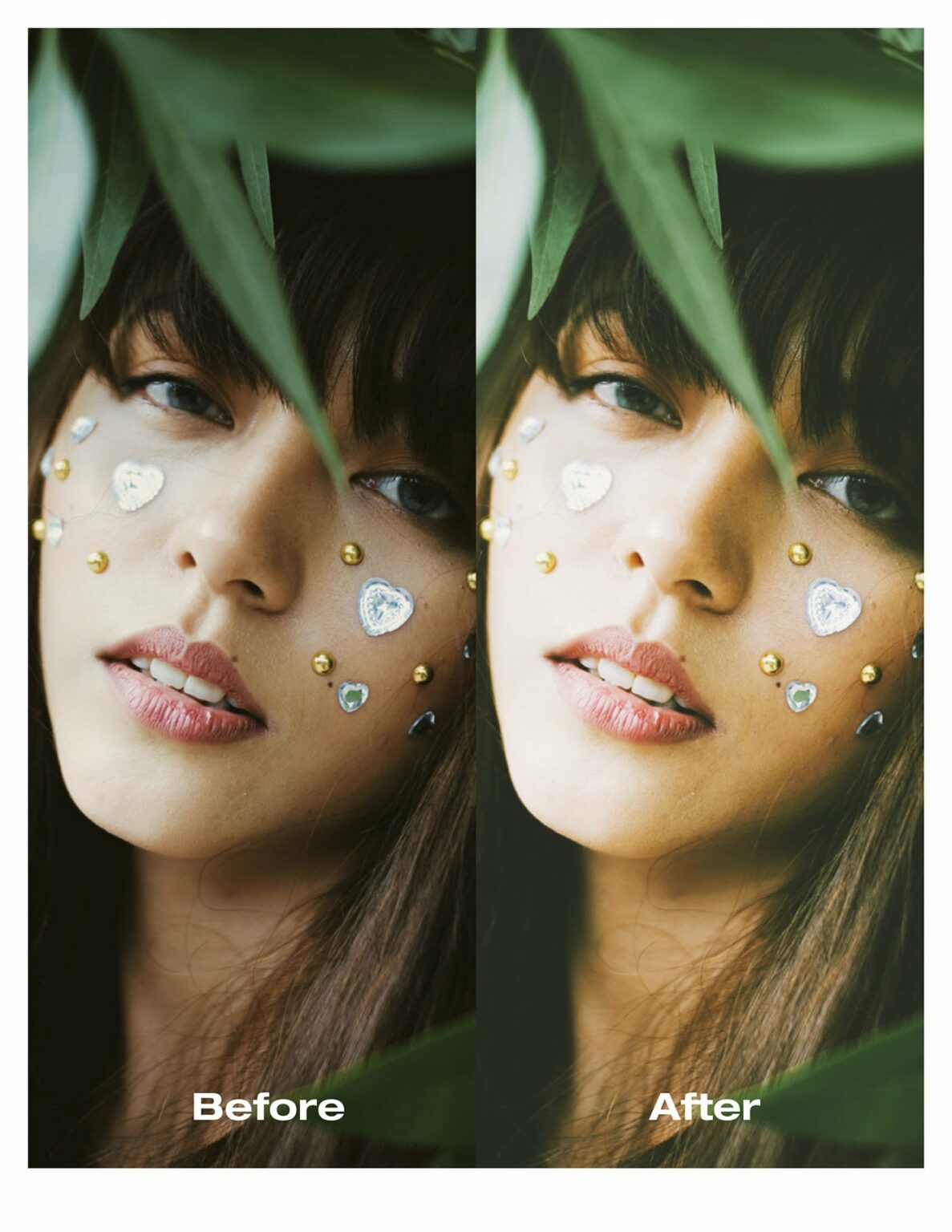 Fujifilm 800 Lightroom Presets – MasterBundles