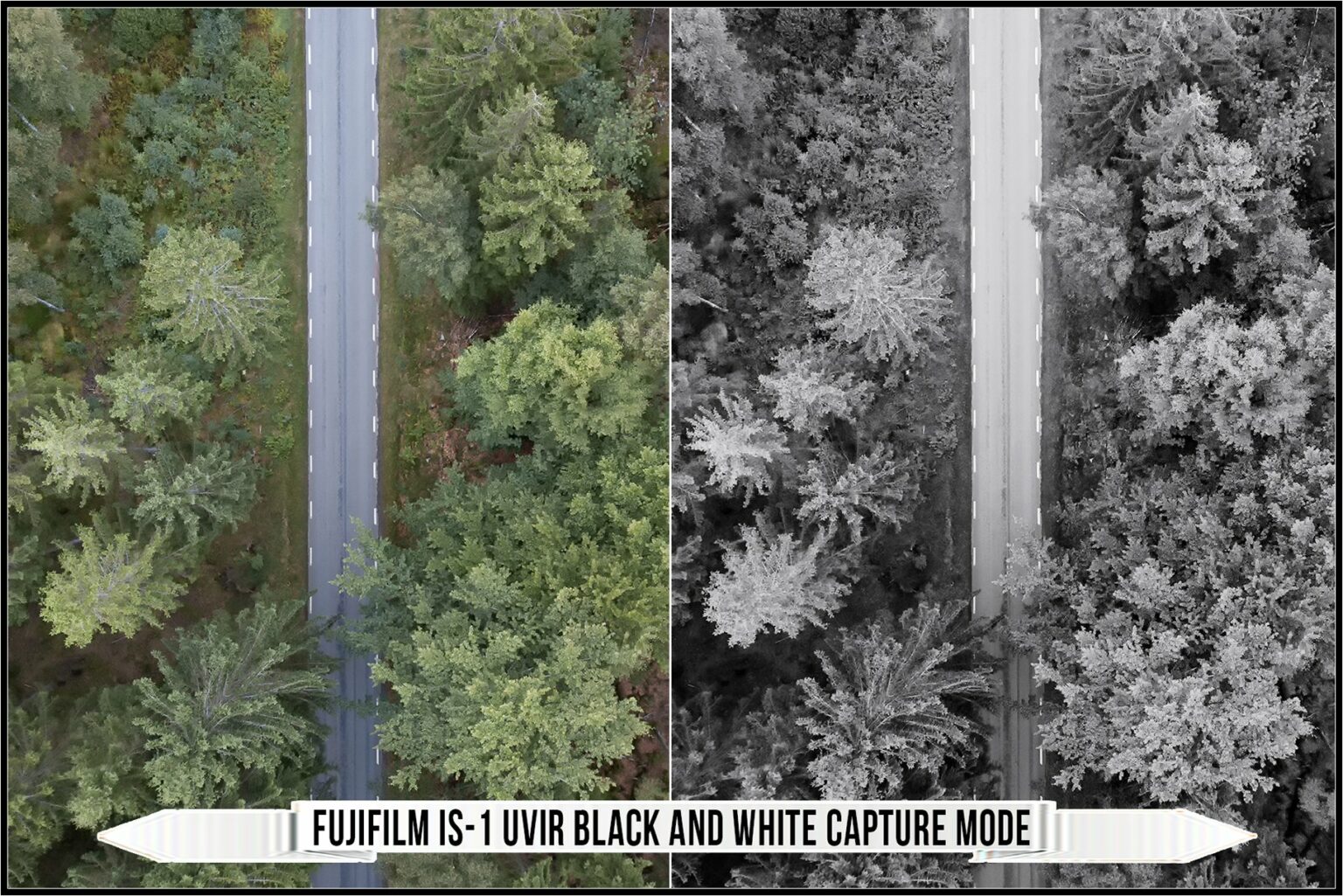 Infrared Monochrome Master Profiles – MasterBundles