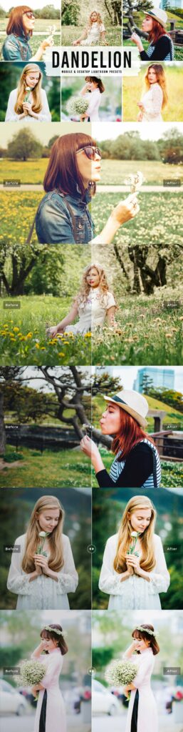 Dandelion Pro Lightroom Presets – MasterBundles