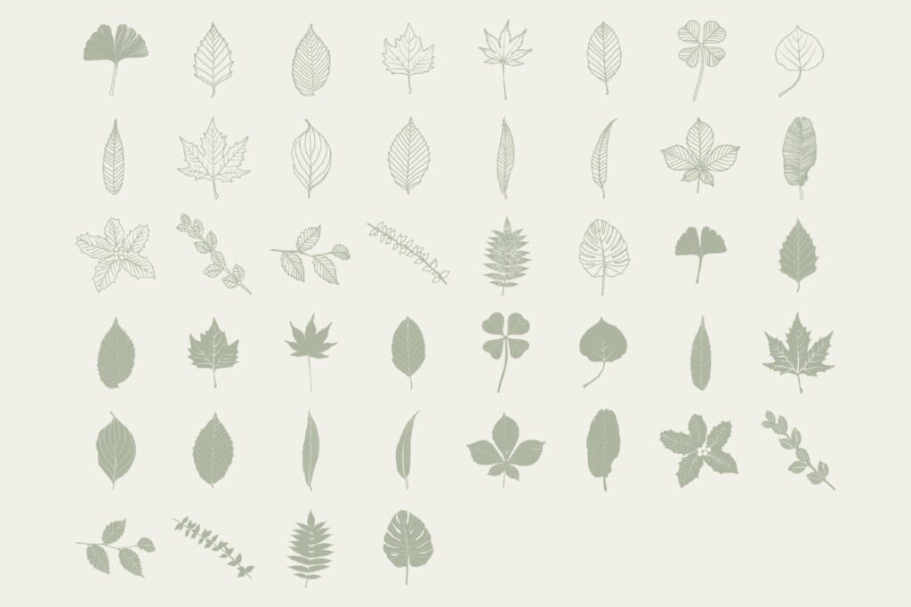 HandDrawn Leaf Library – MasterBundles
