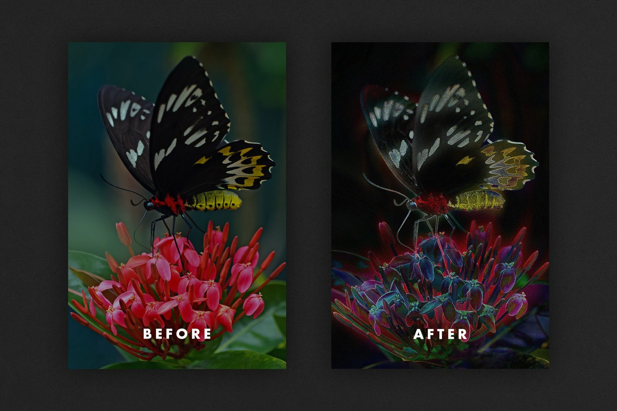 Glowing Inversion Effect for Posters – MasterBundles