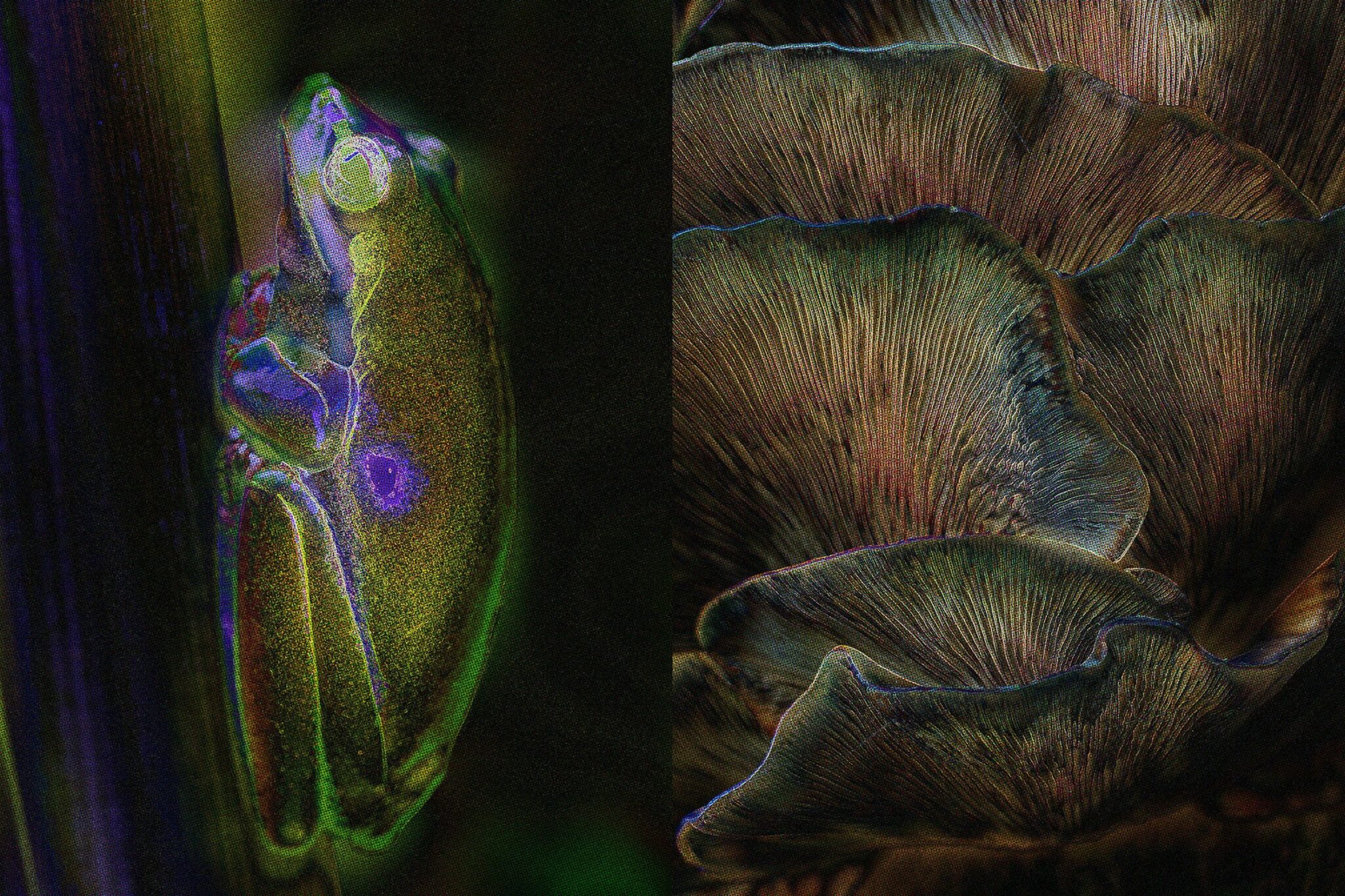 Glowing Inversion Effect for Posters – MasterBundles