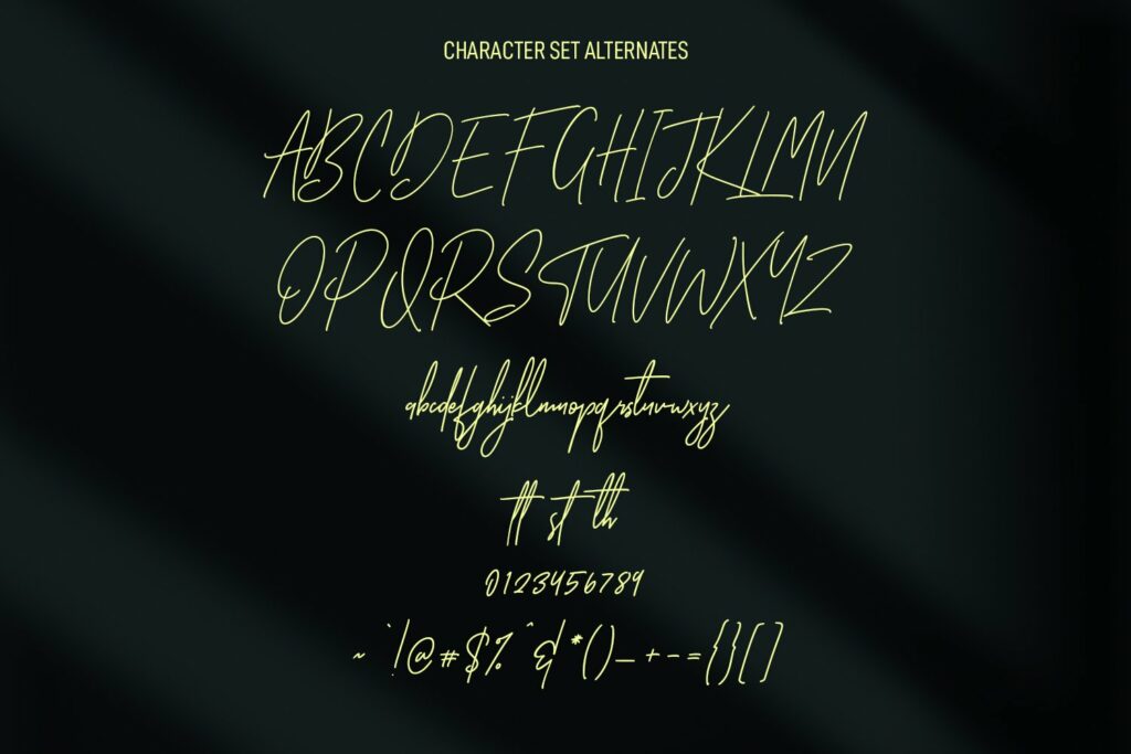 Goofers Tall Script Font – MasterBundles