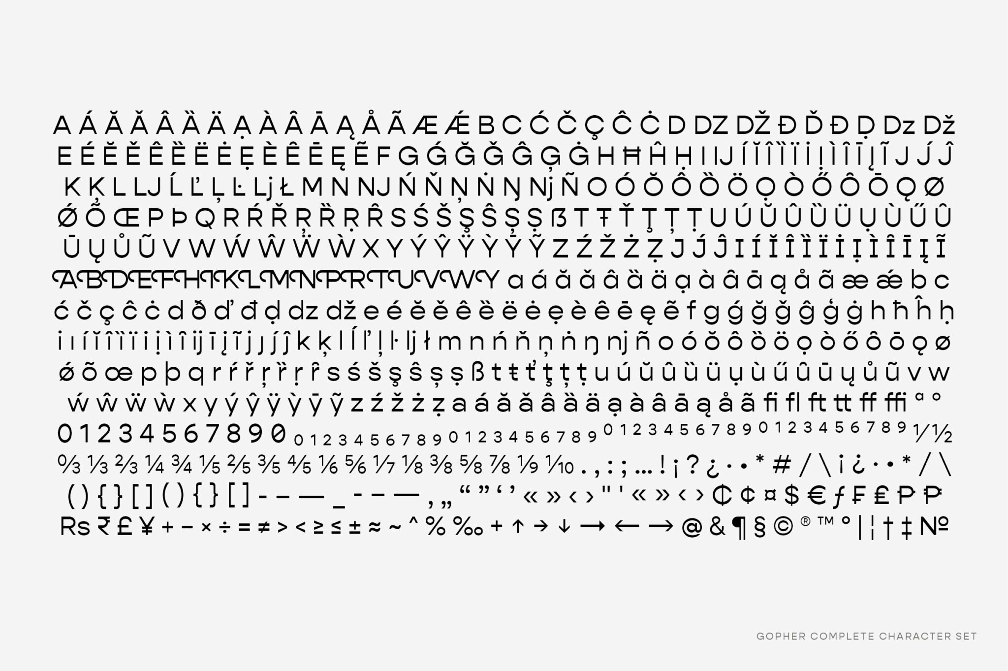 Gopher Complete Font Family – MasterBundles