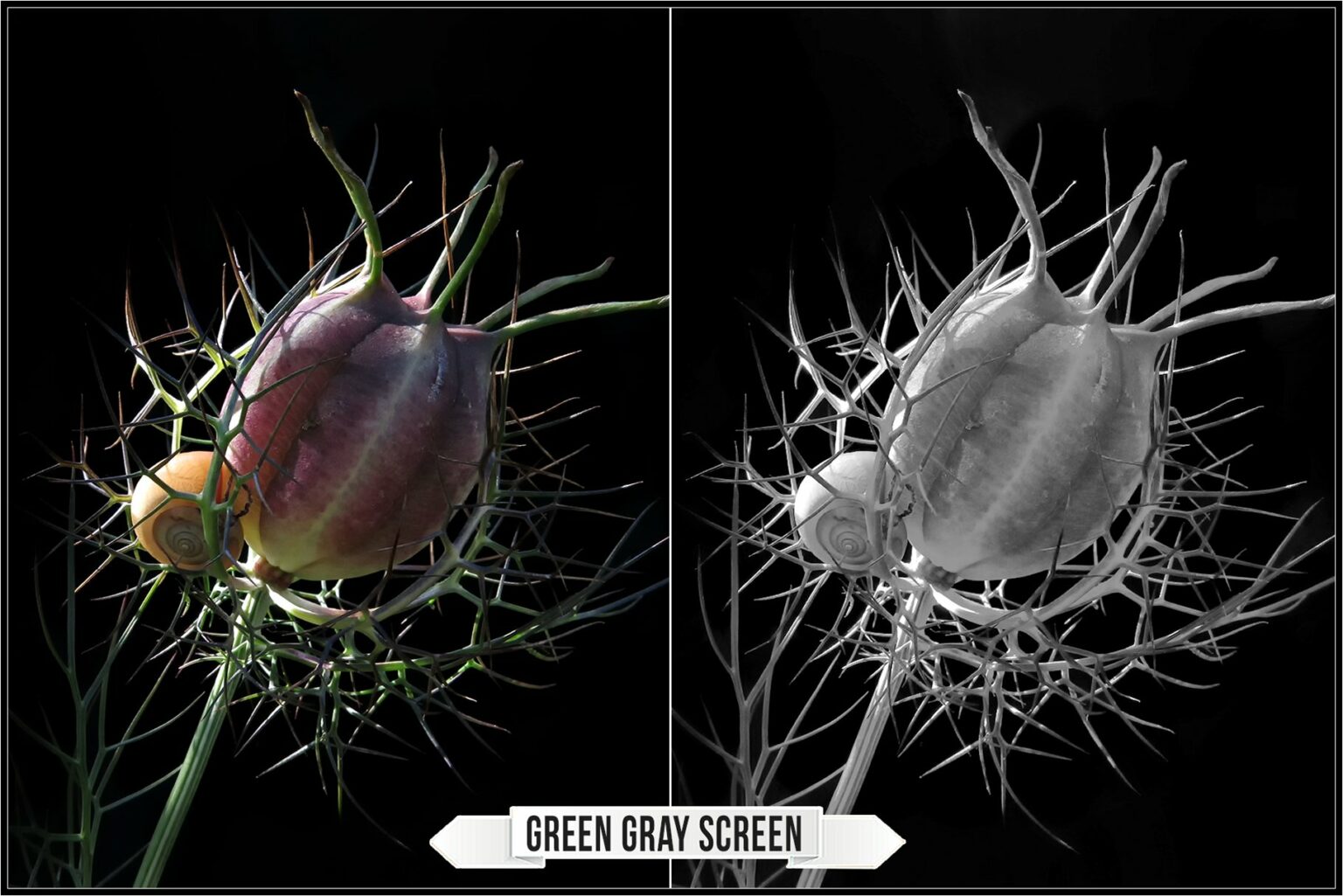 Gray Partial Blend Effects – MasterBundles