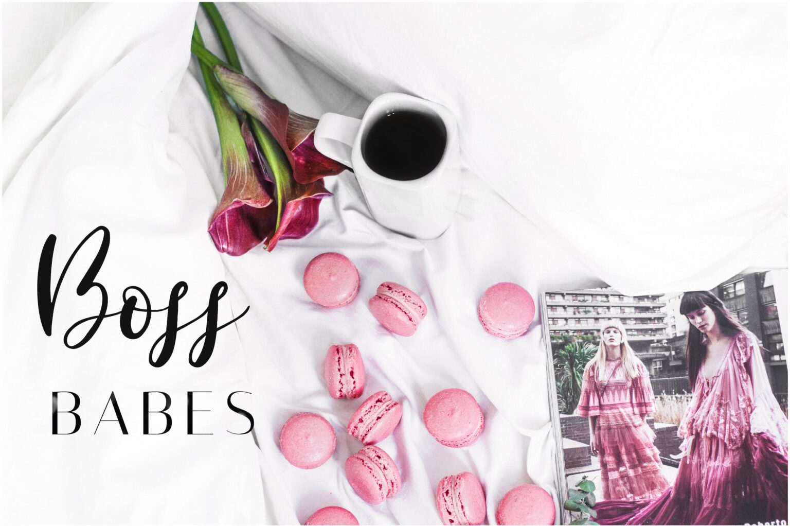 Grow Script – MasterBundles