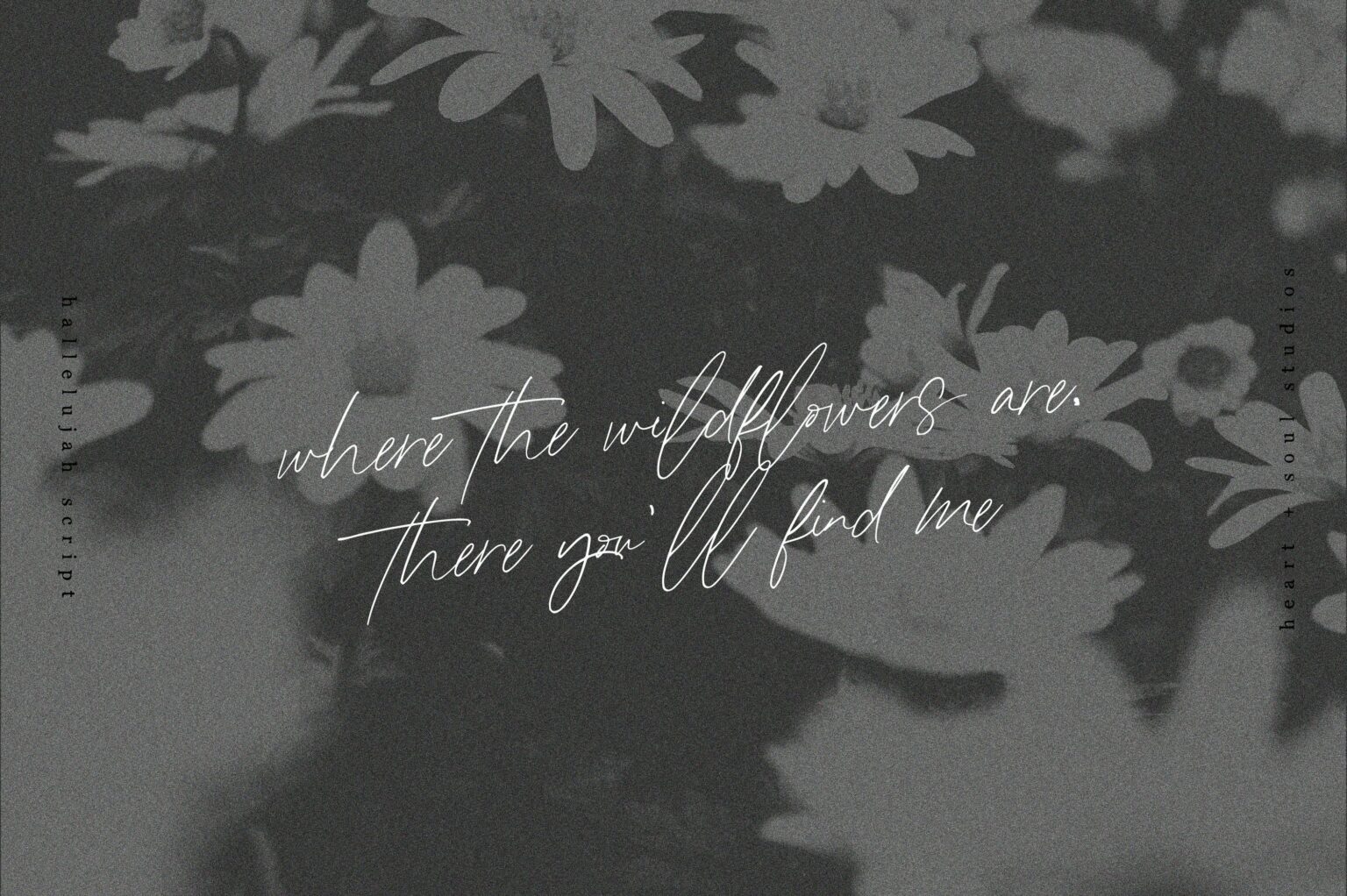 Hallelujah Script | Handwritten Font – MasterBundles